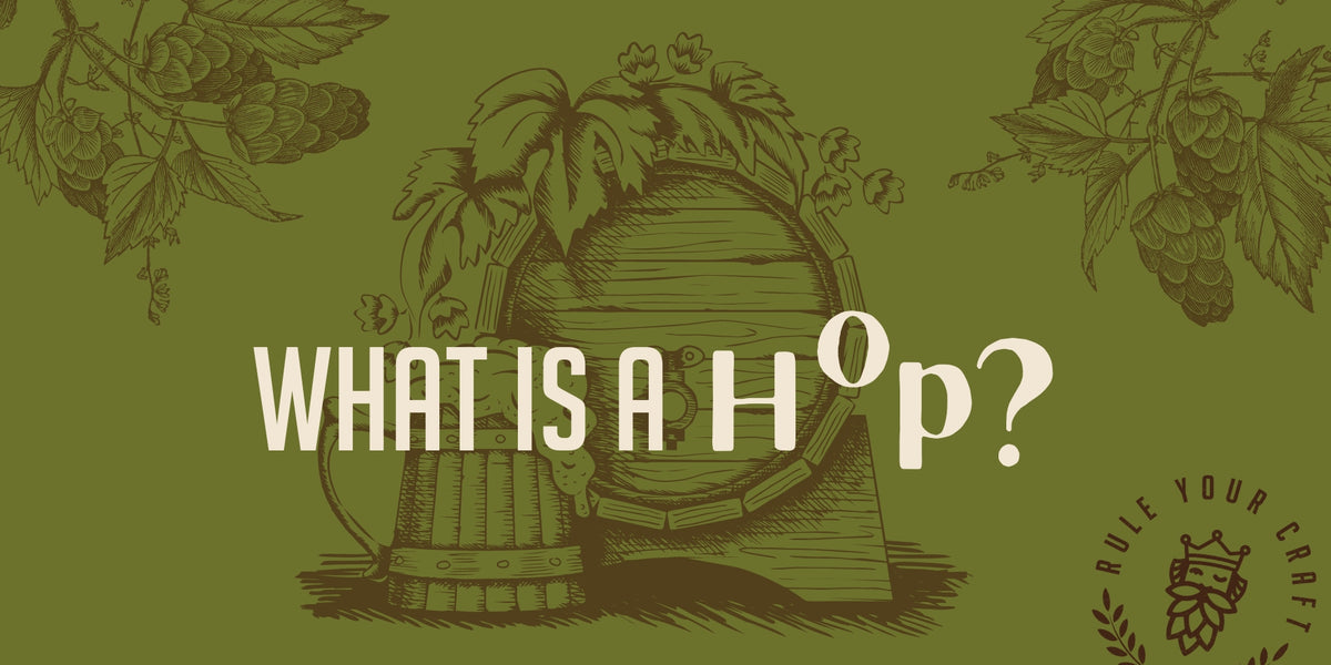 What Is A Hop? — Noble Barons Home Brew Supplies