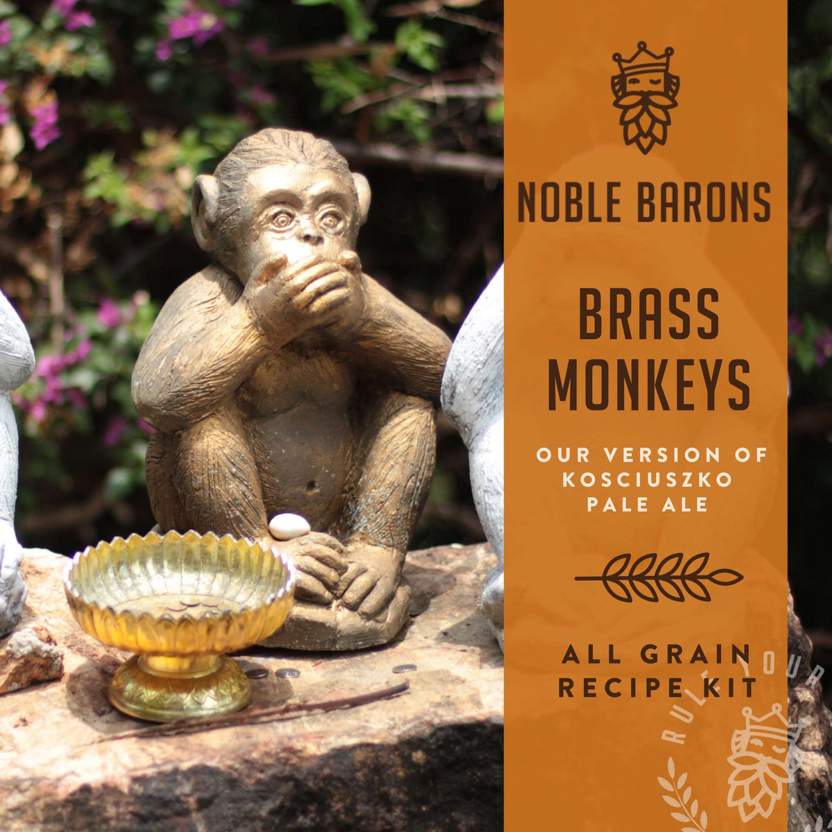 All Grain Beer Kit Kosciuszko Pale Ale| Brass Monkeys — Noble Barons ...