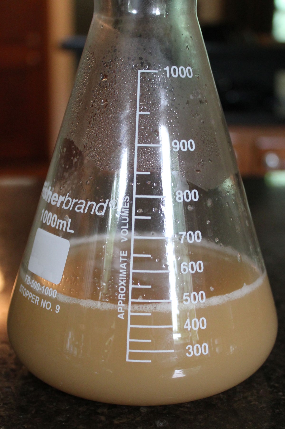 Glass Conical Flask 1000ml / 1L — Noble Barons Home Brew Supplies