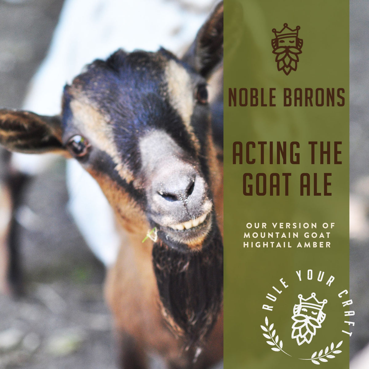 Acting The Goat Ale - Extract Can Recipe Kit (in the style of Mt Goat ...